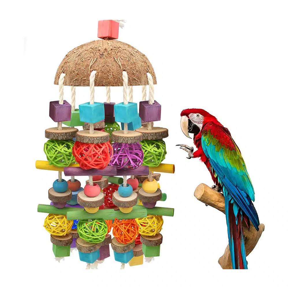 Bird Toys | Bird Parenting - Bird Sitting Toronto