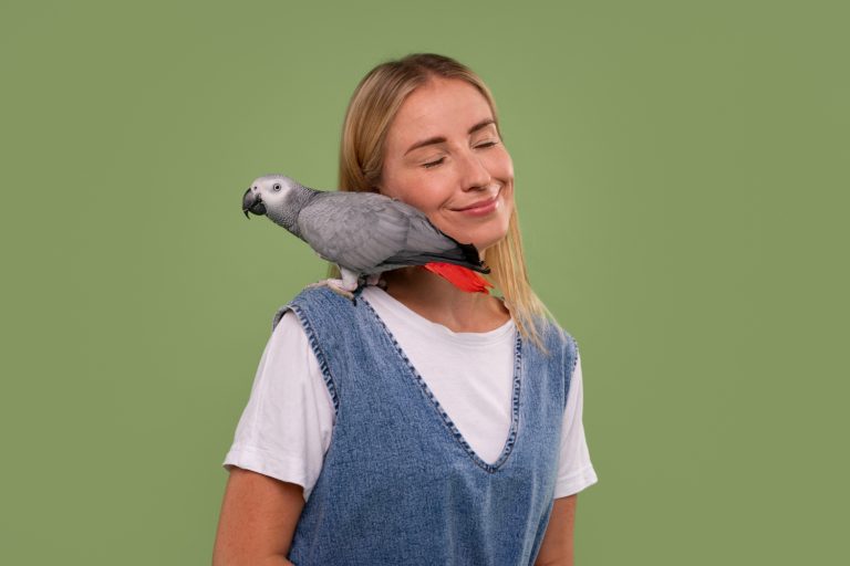 Why You Need Bird Boarding - Bird Sitting Toronto